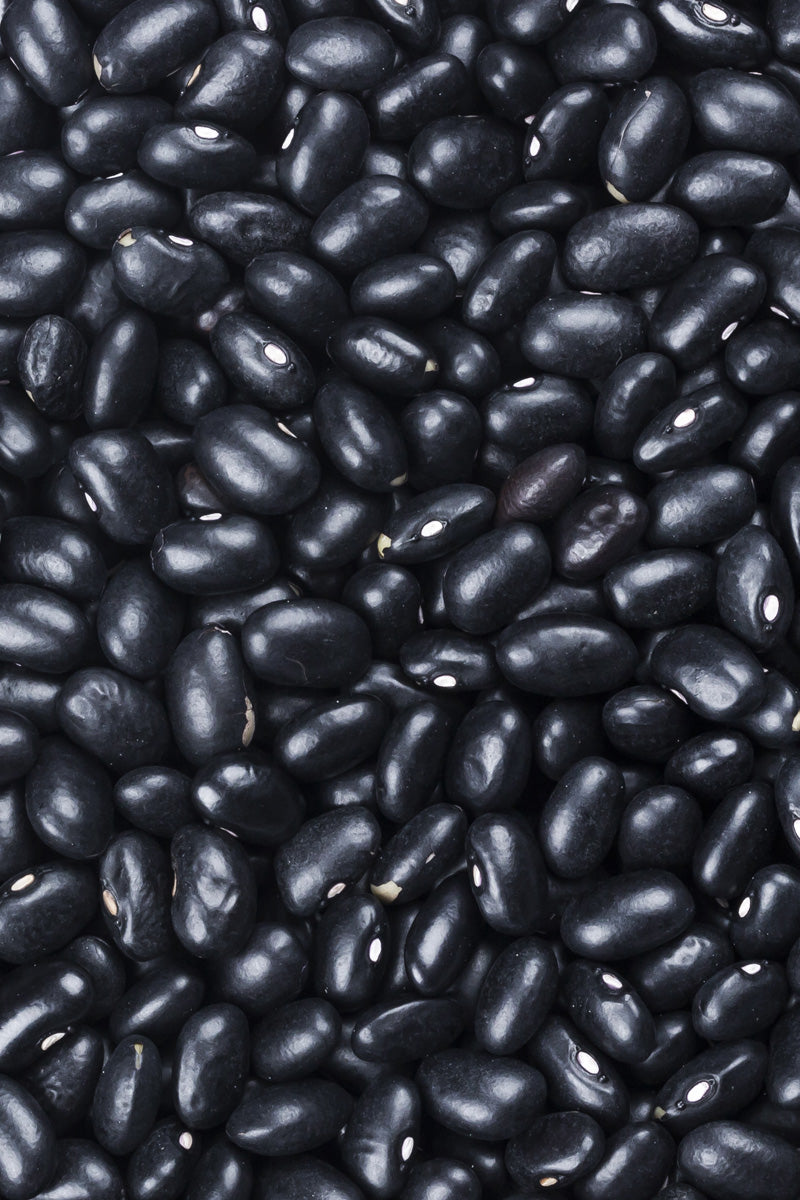 Organic Beans – Next Generation Foods